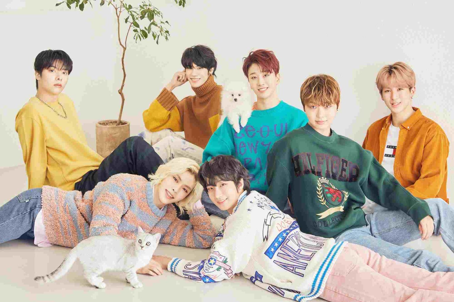 New Kidd - Biodata, Profil, Fakta, Member, Ulang Tahun, Tanggal Lahir