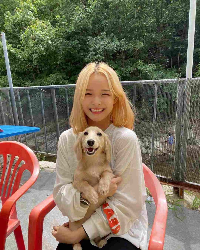 Dream Note - Biodata, Profil, Fakta, Member, Ulang Tahun, Tanggal Lahir