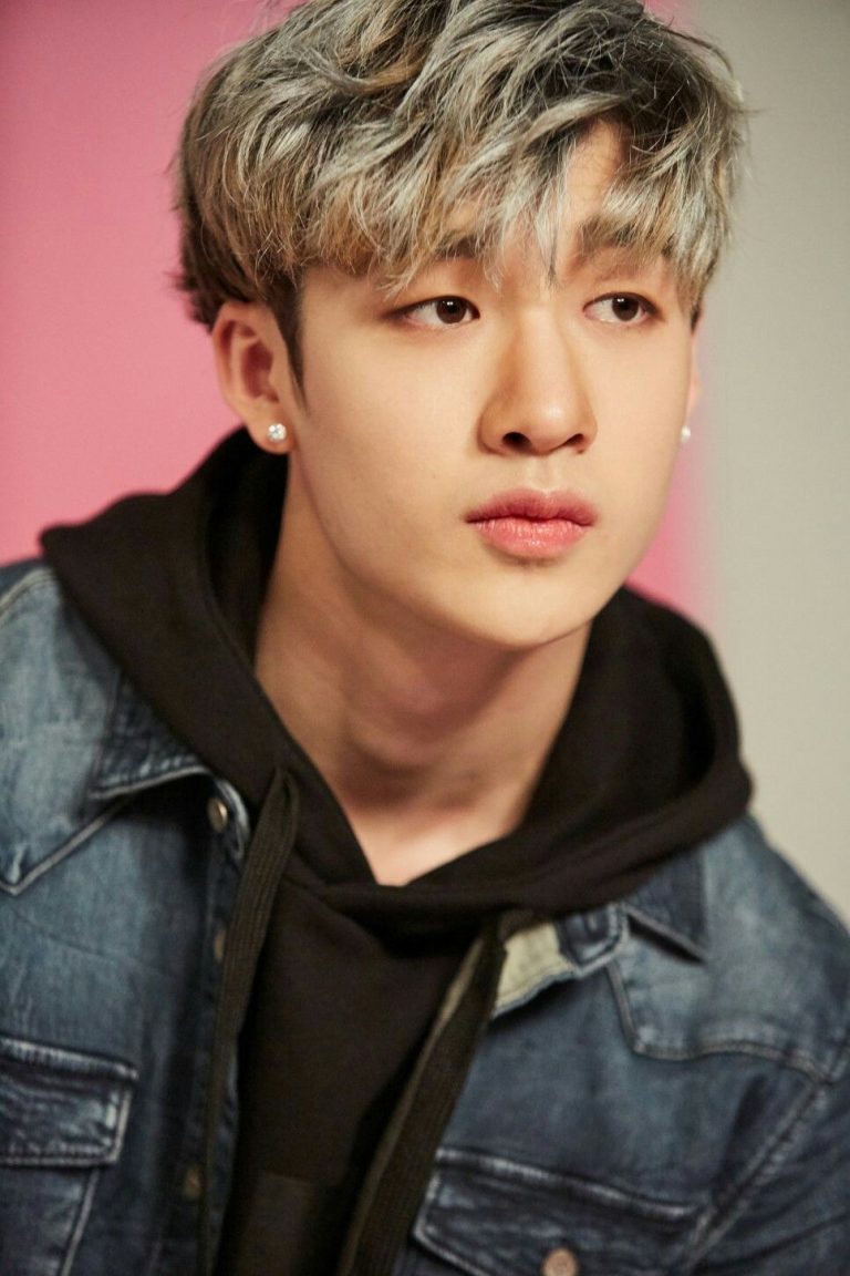 Biodata, Profil, Fakta Unik dan Foto Stray Kids Lengkap | Dailysia profil
