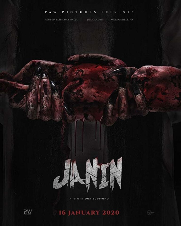 Janin - Sinopsis, Pemain, OST, Episode, Review