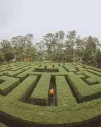 Taman Labirin Coban Rondo, Keseruan Wisata Mencari Jalan Keluar