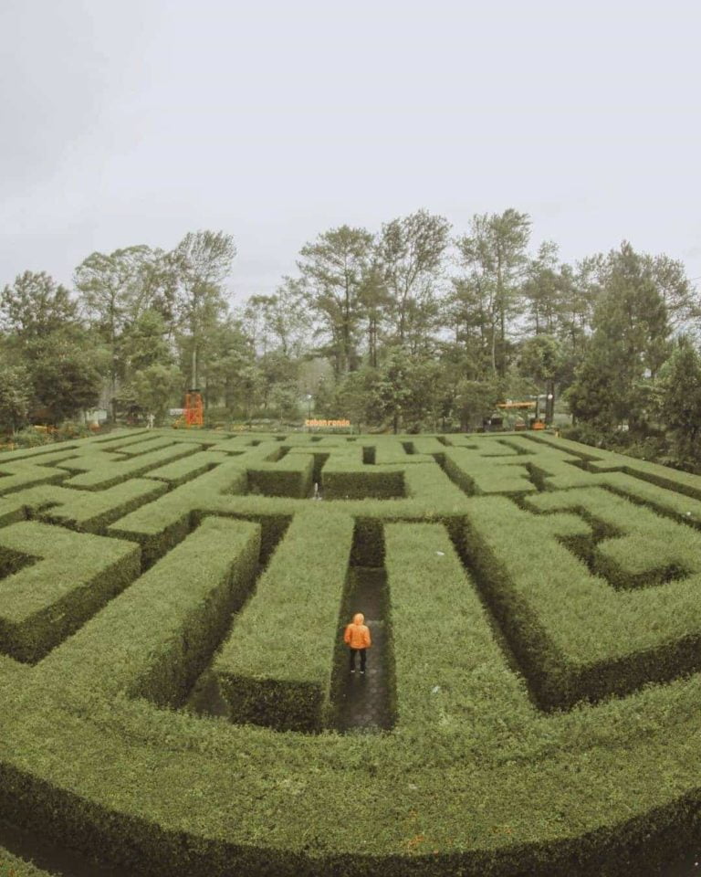 Taman Labirin Coban Rondo, Keseruan Wisata Mencari Jalan Keluar