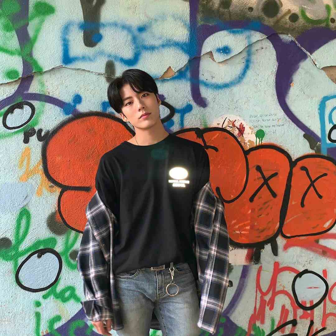 Biodata, Profil dan Fakta Member IMFACT | Dailysia