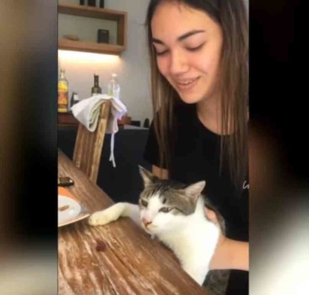 Mewah dan Nyaman, 10 Potret Rumah Haico Van der Veken di Bali