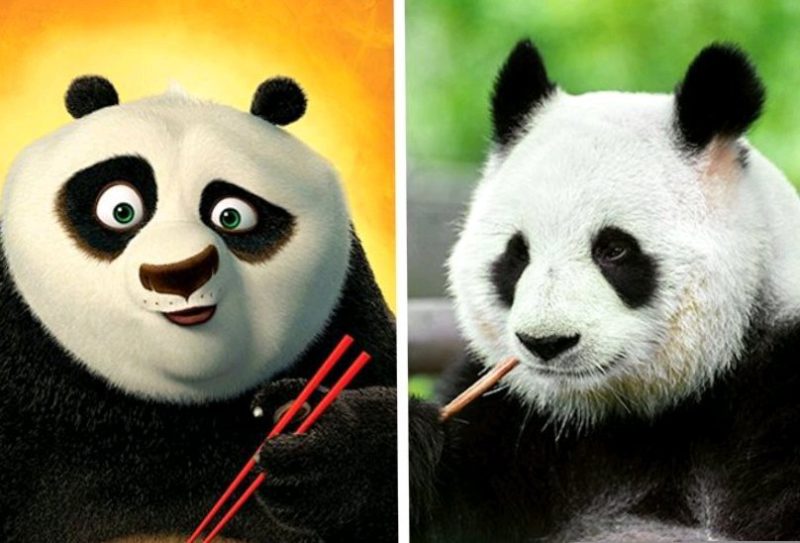 Gak Nyangka, 10 Hewan Ini Mirip dengan Karakter Animasi - Dailysia