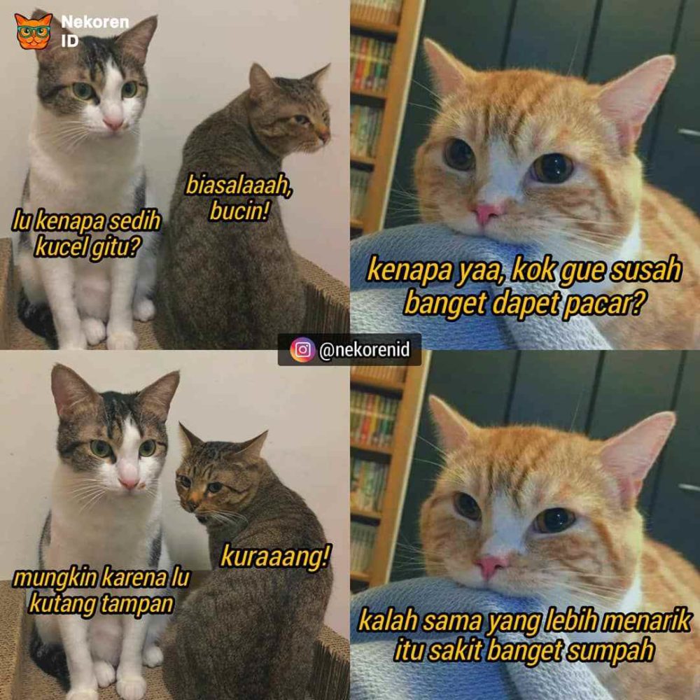 Nyesek! 10 Meme Kucing Oren ala Sadboy Ini Kocak Sekaligus Kasihan