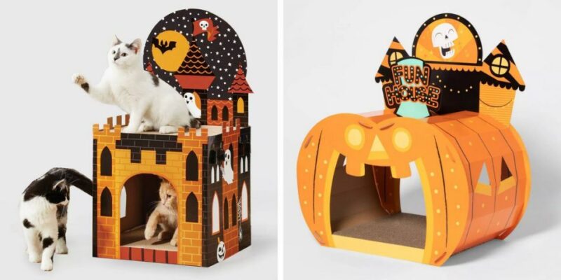 Gunakan Bahan Tak Terpakai, 10 Ide Rumah Kucing Terbuat dari Kardus