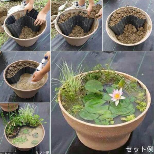 Desain Menarik, 10 Ide Kolam Ikan Terbuat dari Pot Bekas - Dailysia