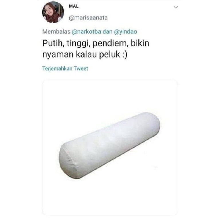 6 Tipe Cewek Idaman ala Anak Twitter, Bikin Ngakak - Dailysia