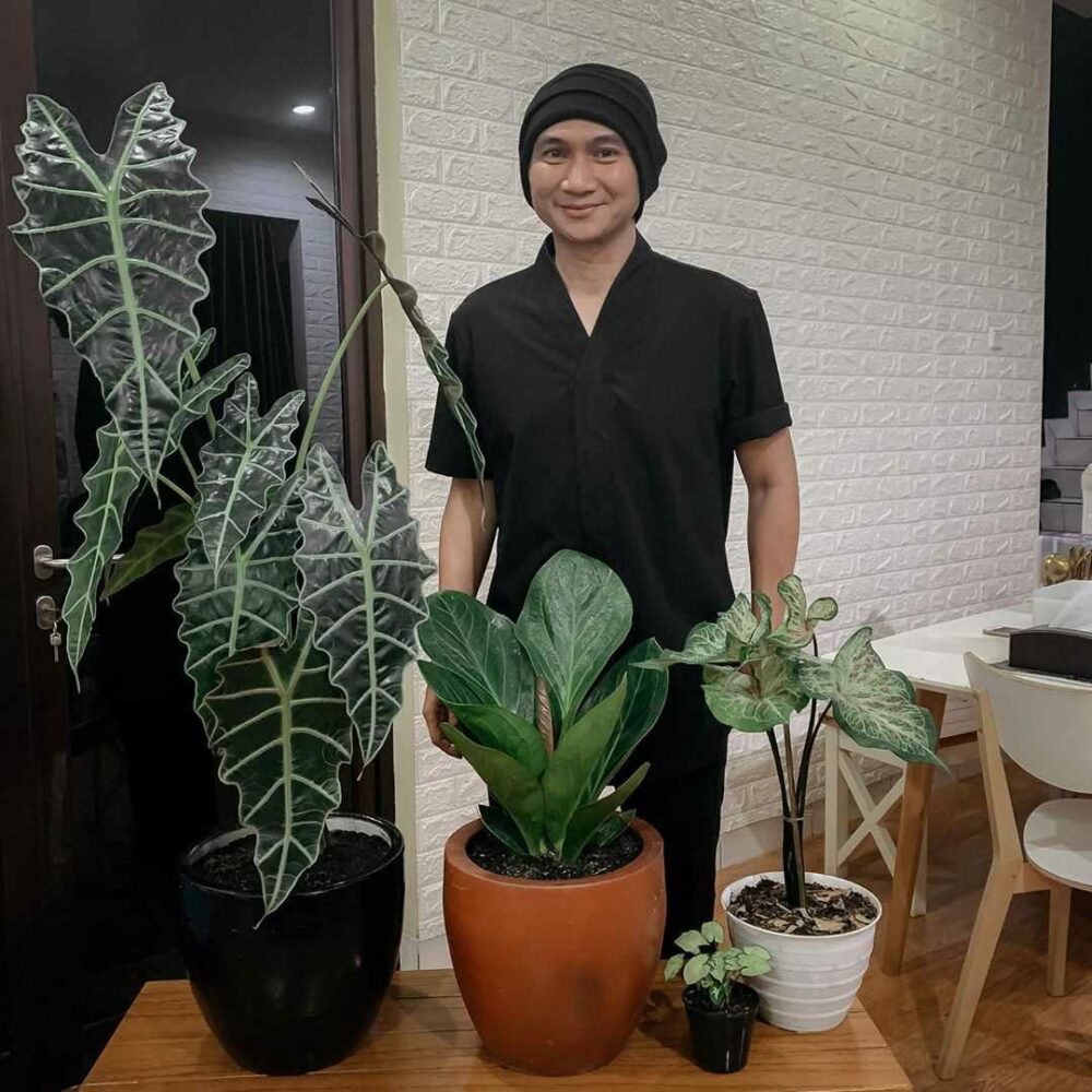 Anji - Biodata, Profil, Fakta, Umur, Agama, Istri, Lagu