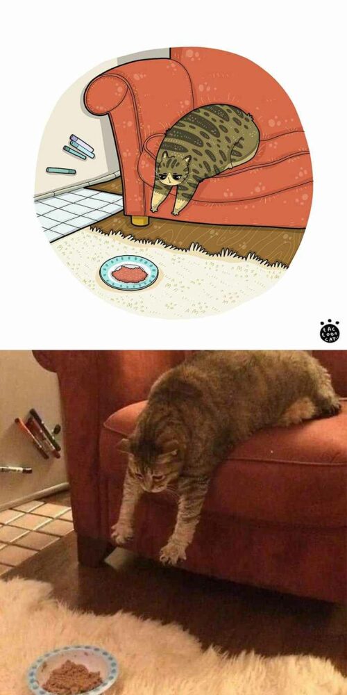 Lucu Banget 10 Meme Kucing Terviral Digambar Ulang Seniman Indonesia ...