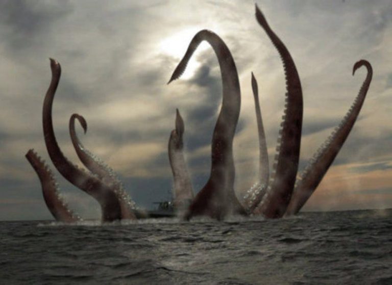 Menguak Misteri Kraken, Makhluk Moster Laut yang Melegenda - Dailysia Menguak Misteri Kraken, Makhluk Moster Laut yang Melegenda - Dailysia