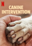 Sinopsis Canine Intervention, Reality Series Tampilkan Aksi Pelatihan ...