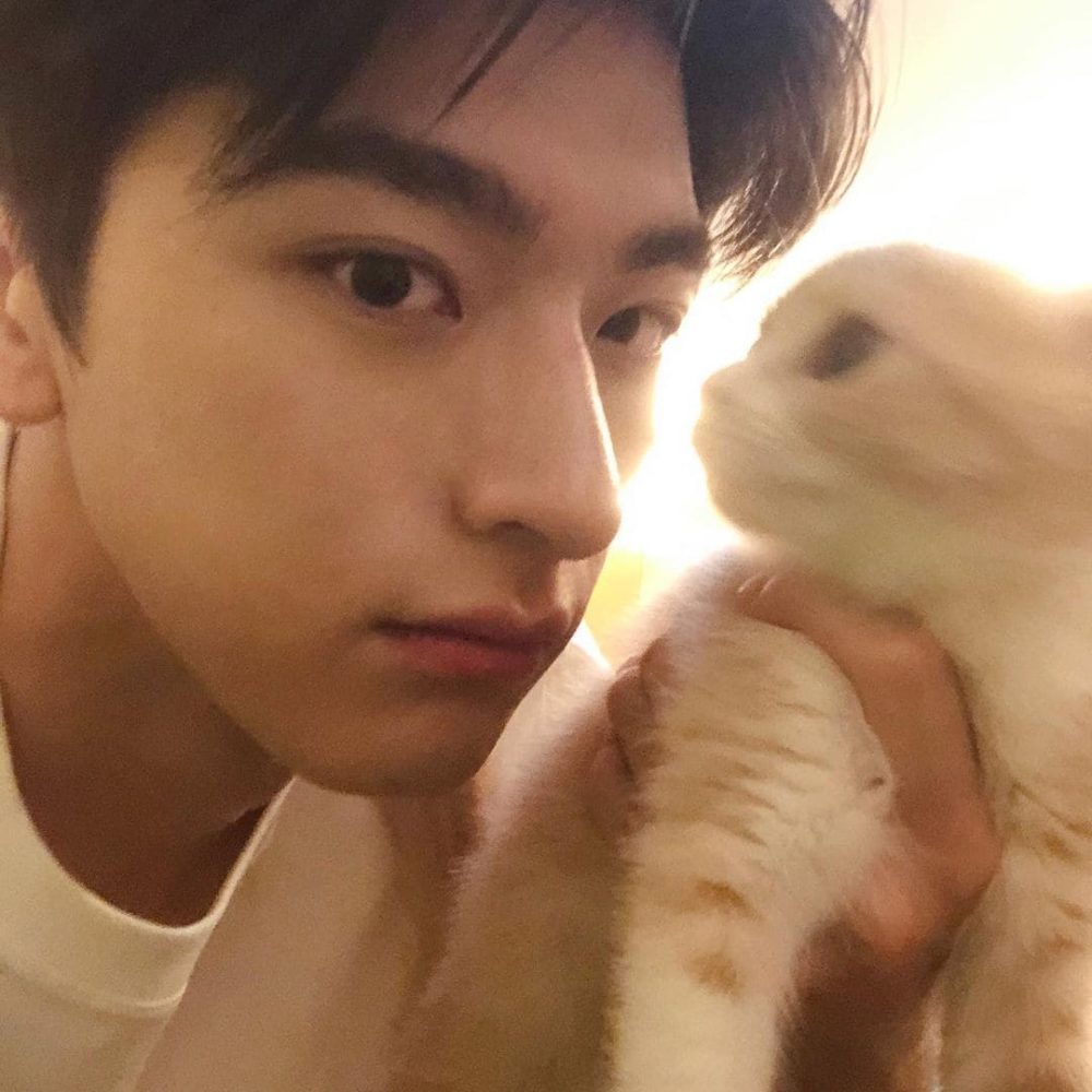 Lin Yi - Biodata, Profil, Fakta, Agama, Umur, Pacar, Karier