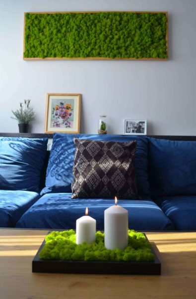 Back to Nature, 10 Dekorasi Dinding dengan Lumut - Dailysia