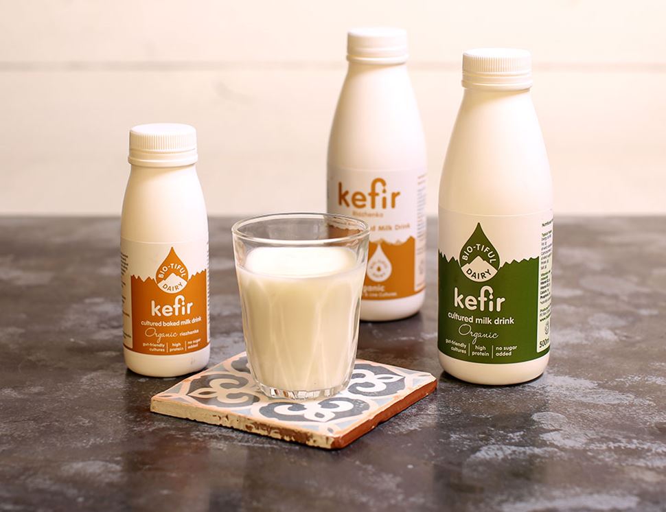 Perbedaan Yoghurt dan Kefir, Nutrisi Penting bagi Tubuh - Dailysia