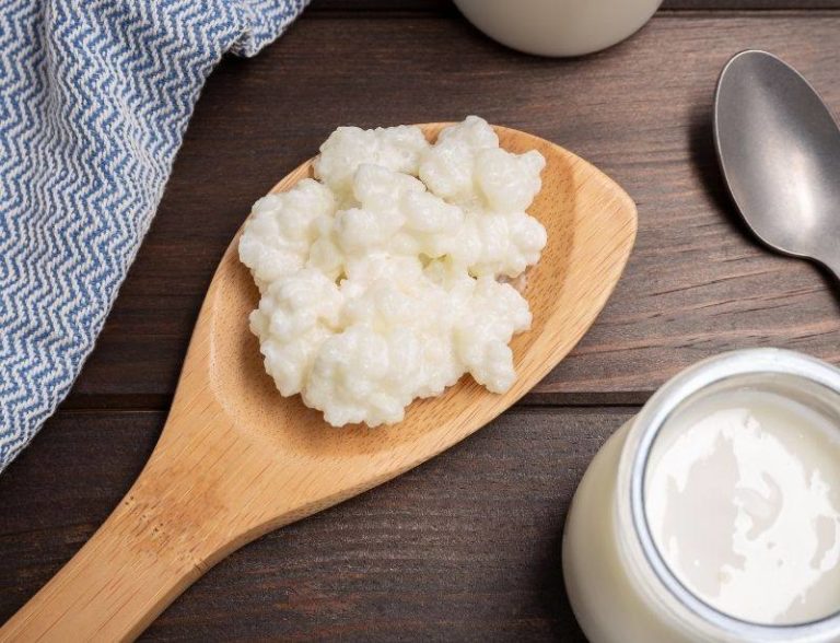 Perbedaan Yoghurt dan Kefir, Nutrisi Penting bagi Tubuh - Dailysia