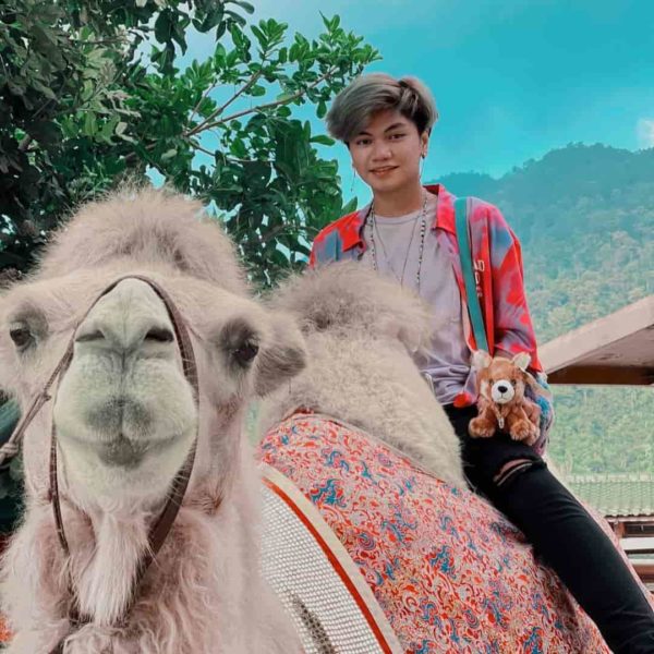 Novan AS - Biodata, Profil, Fakta, Umur, Agama, Pacar, Karier