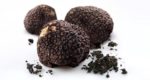 5 Fakta Jamur Truffle, Harganya Bisa Mencapai Milyaran - Dailysia