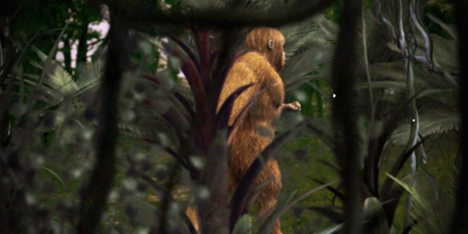 Kisah Uhang Pandak, Legenda Manusia Kerdil dari Jambi - Dailysia