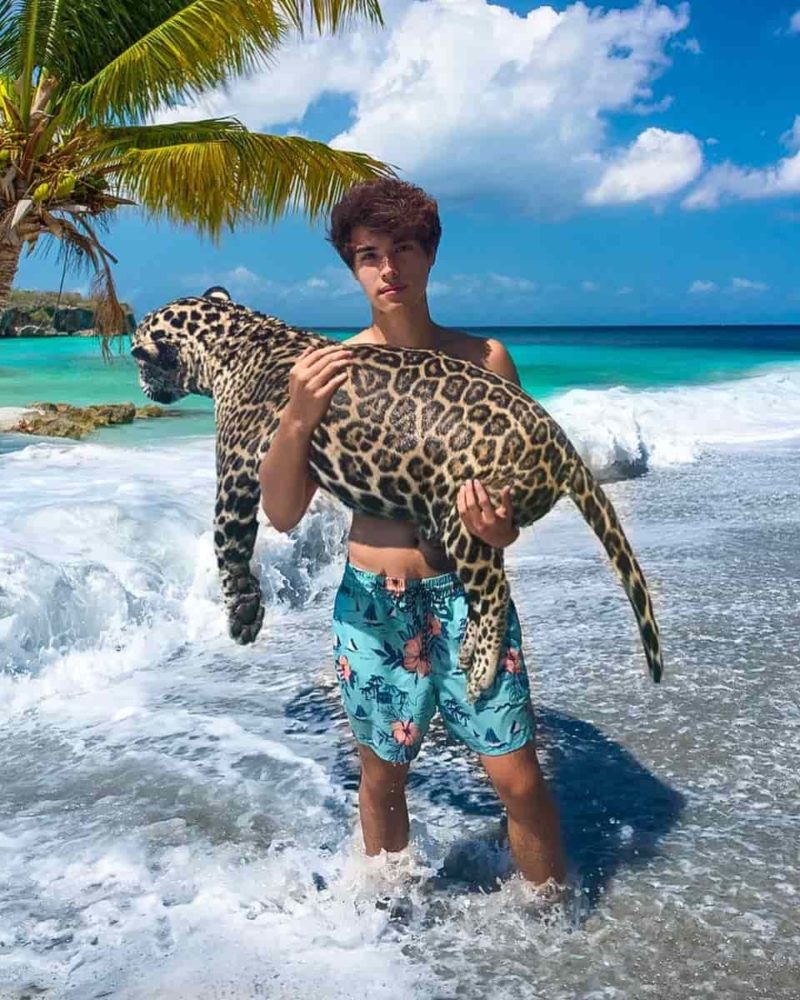 Alan Stokes - Biodata, Profil, Fakta, Umur, Agama, Pacar, Karier