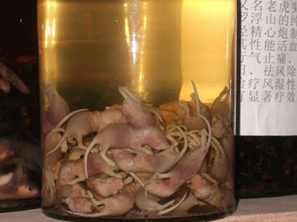 10 Makanan Terjorok di Dunia, Berani Coba Mencicipi? - Dailysia