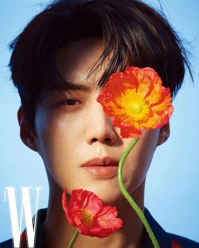 Kim Seon Ho - Biodata, Profil, Fakta, Umur, Agama, Pacar, Drama, Karier