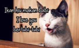 35 Pantun Gombal untuk Gebetan dan Pacar - Dailysia