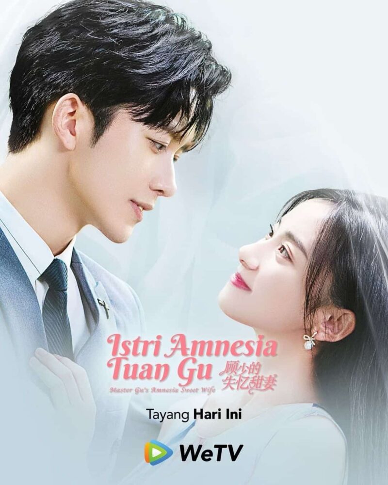 Master Gu's Amnesia Sweet Wife - Sinopsis, Pemain, OST, Episode