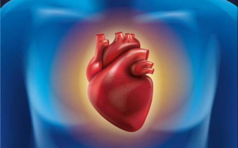 7 Fungsi Hati, Serta Cara Merawatnya Agar Tetap Sehat - Dailysia