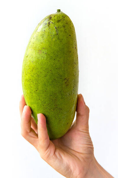 14 Jenis Mangga, Dari Kweni hingga Golek - Dailysia