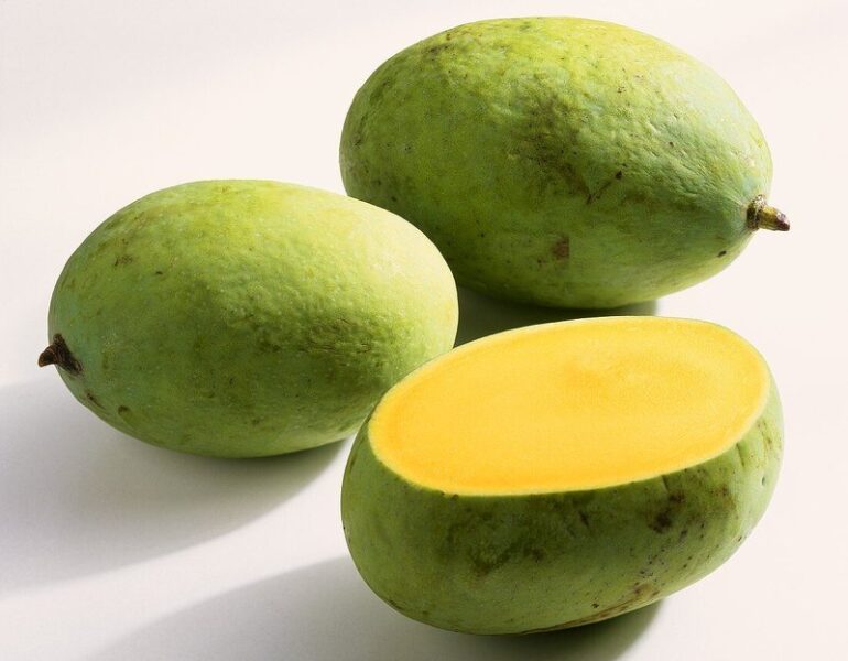 14 Jenis Mangga, Dari Kweni hingga Golek - Dailysia