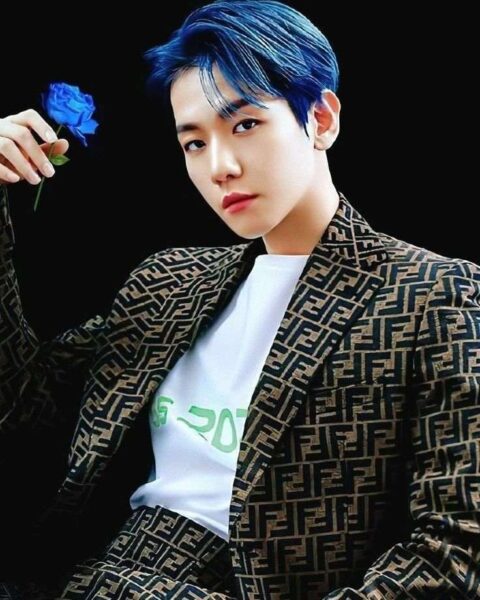 Baekhyun EXO - Biodata, Profil, Fakta, Umur, Agama, Pacar, Karier
