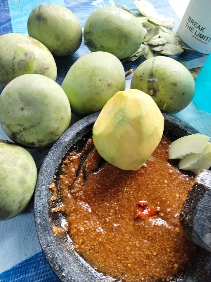 14 Jenis Mangga, Dari Kweni hingga Golek - Dailysia